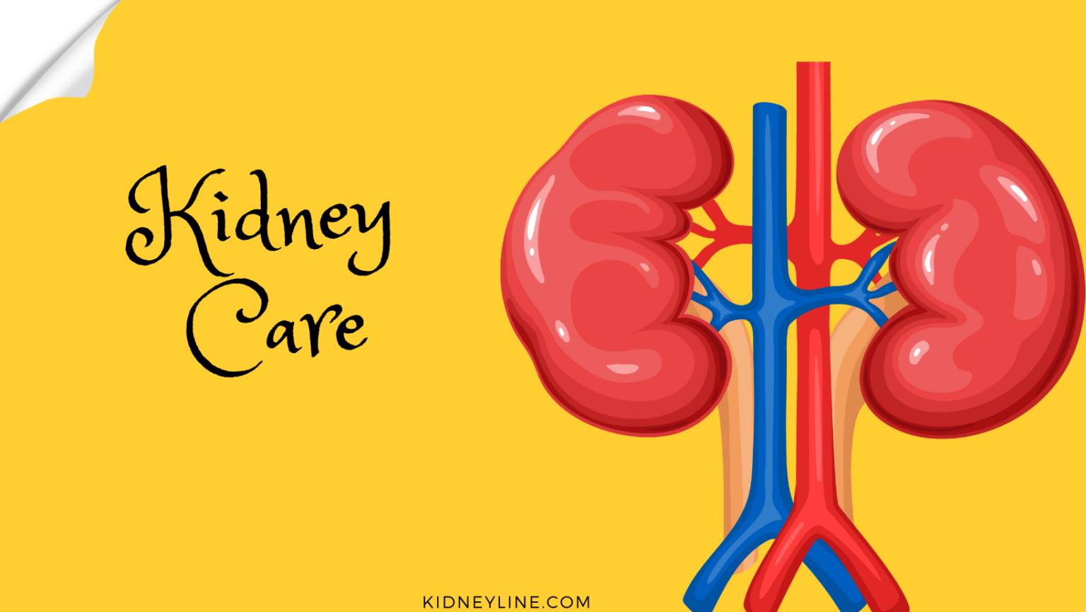 10 Common Things That Slowly Harm Your Kidneys. - Kidneyline